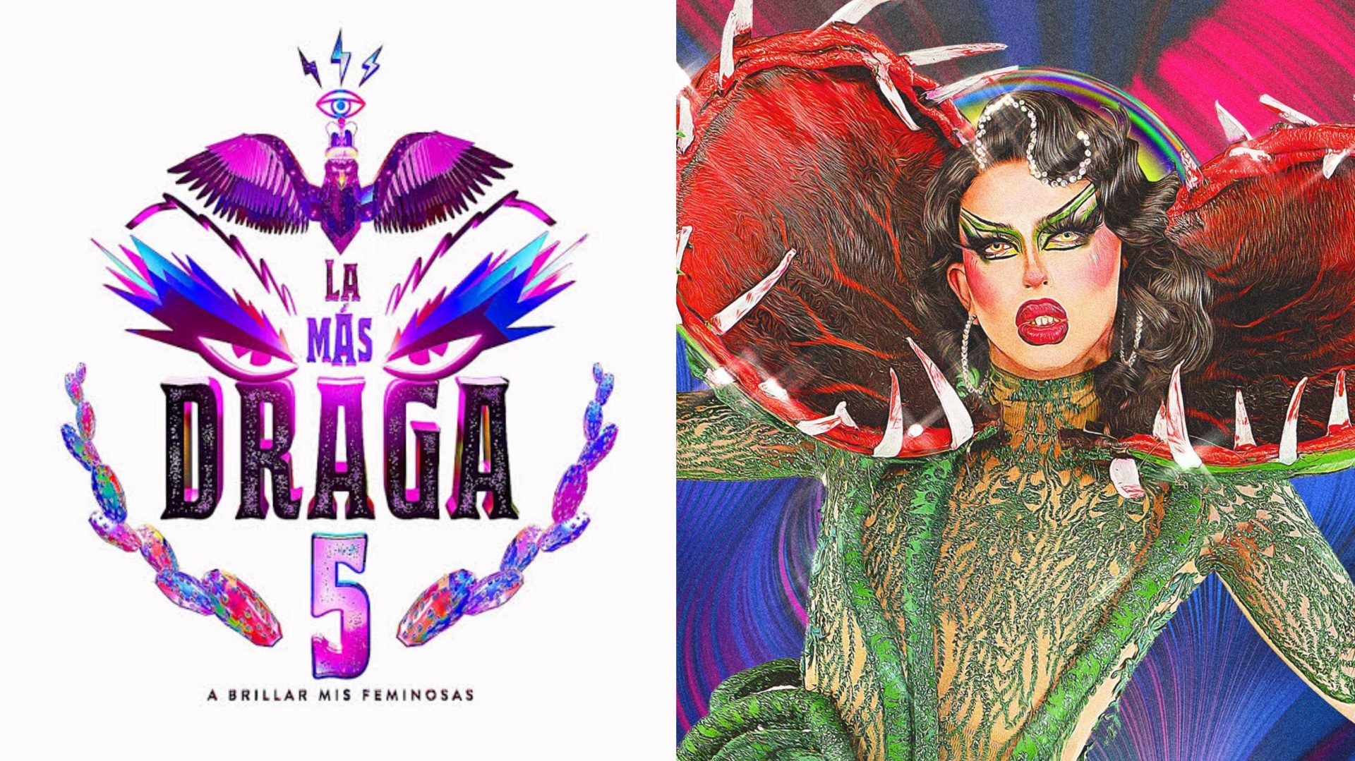 La Más Draga 5: La icónica Huma Kyle es la cuarta eliminada de la temporada | A Tiempo Medio Digital